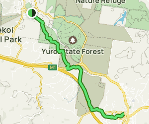Cooroy Wanderer Track: 9 Reviews, Map - Queensland, Australia | AllTrails