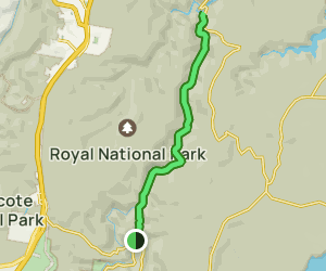Lady Carrington Drive Full Trail: 102 Reviews, Map - New South Wales ...