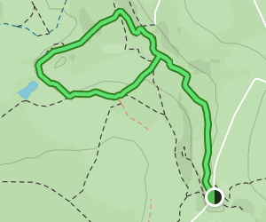 Falling Foss Extended Loop: 190 fotos - Yorkshire del Norte, Inglaterra ...