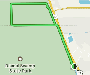 Dismal Swamp Loop | Map, Guide - North Carolina | AllTrails