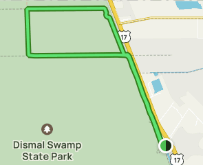 Dismal Swamp Loop, North Carolina - 26 Reviews, Map | AllTrails