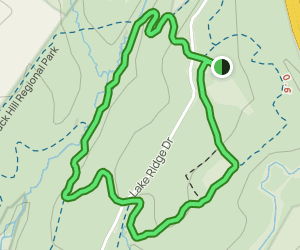 Hamilton, Cabin Bench, and Hard Rock Trails Loop: 111 Reviews, Map ...