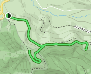 Bennett Pass Road Out-and-Back, Oregon - 225 Reviews, Map | AllTrails
