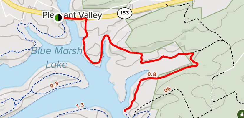 Are Dogs Allowed At Blue Marsh Lake