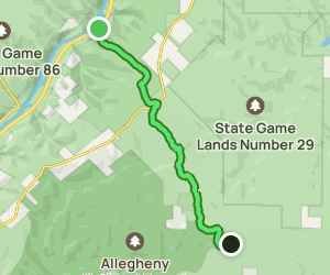 Tanbark Trail: Route 62 to North Country Trail Junction: 26 Reviews ...