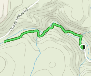 Dingmans Falls via Dingmans Creek Trail: 686 Reviews, Map ...