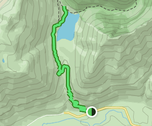 Lower Lena Lake Trail: 3272 Reviews, Map - Washington | AllTrails