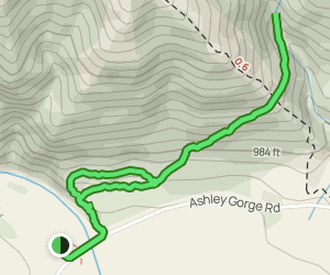 Ashley Gorge Loop and Waterfall Track: 104 Reviews, Map - Canterbury ...