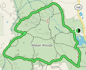 Cockaponset Green and Orange Loop, Connecticut - 146 Reviews, Map ...
