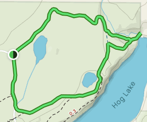 Hog Lake Loop: 197 Reviews, Map - Washington | AllTrails