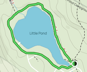 Little Pond Loop Trail: 28 Reviews, Map - New York | AllTrails