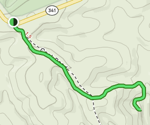 Three Springs Falls and Cascades: 69 Reviews, Map - Arkansas | AllTrails