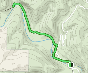 Gunner Pool via Sylamore Creek: 86 Reviews, Map - Arkansas | AllTrails