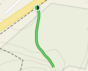 Ozone Falls Trail, Tennessee - 107 Reviews, Map | AllTrails