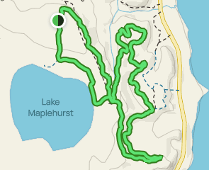 Maplehurst Ridge Trail and Forest Trail Loop, Michigan - 85 Reviews ...