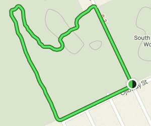 South Cameron Woodlot: 5 Reviews, Map - Ontario, Canada | AllTrails