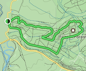 Friston Forest Circular: 70 Reviews, Map - East Sussex, England | AllTrails