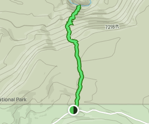 Rainbow Falls Trail: 6 Reviews, Map - Wyoming | AllTrails