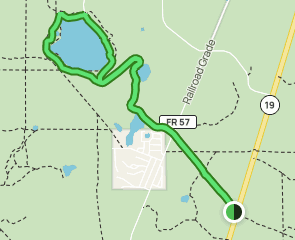 Buck Lake Loop via Florida Trail, Florida - 140 Reviews, Map | AllTrails