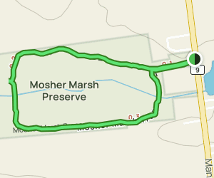 Mosher Marsh Trail | Map, Guide - New York | AllTrails
