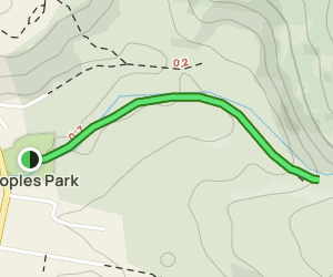 Hogarth Falls: 178 Reviews, Map - Tasmania, Australia | AllTrails