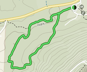 Environmental Trail Loop: 239 Reviews, Map - Georgia | AllTrails