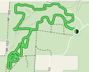 Machickanee Forest Northwest Loop, Wisconsin - 111 Reviews, Map | AllTrails
