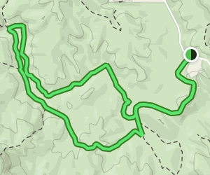 Wildcat Creek and Turner Trail: 361 Reviews, Map - Georgia | AllTrails