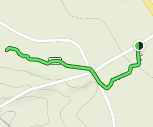 Mogollon Rim Interpretive Trail: 430 Reviews, Map - Arizona | AllTrails