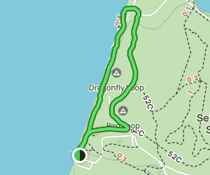 Selkirk Lakeshore and Buck Alley Trail Loop: 76 Reviews, Map - New York ...