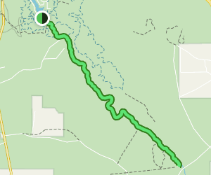 Lone Star Hiking Trail from Double Lake Recreation Area: 71 Reviews ...