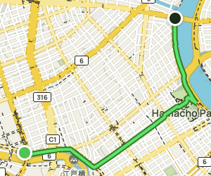 Ryogoku Bridge - Hamacho Park - Nihonbashi: 247 fotos - Tokyo, Japan ...