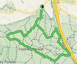 Toohey Ridge Track and Mimosa Track Loop: 123 Reviews, Map - Queensland ...