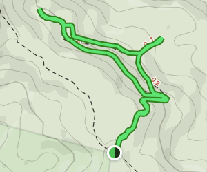 Blue Tier Big Tree Loop: 38 Reviews, Map - Tasmania, Australia | AllTrails