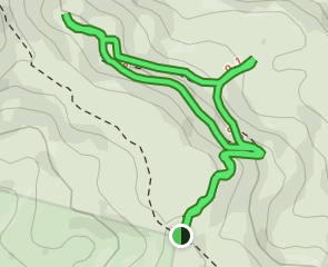 Blue Tier Big Tree Loop, Tasmania, Australia - 48 Reviews, Map | AllTrails