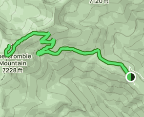 Abercrombie Peak East Approach: 34 Reviews, Map - Washington | AllTrails