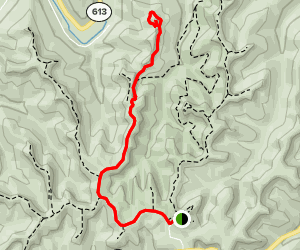 Double Arch Trail - Kentucky | AllTrails