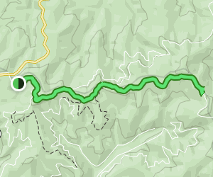 Palouse Divide to Lane's Lookout: 19 Reviews, Map - Idaho | AllTrails