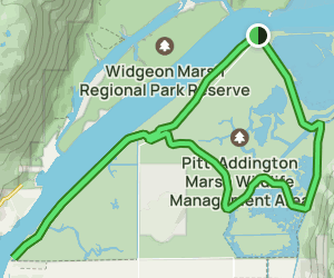 Pitt-Addington Marsh: 62 Reviews, Map - British Columbia, Canada ...