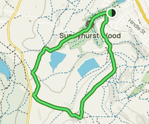 Sunnyhurst Wood and Darwen Tower Circular: 211 Reviews, Map ...