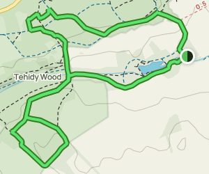 Tehidy Wood Circular: 45 Reviews, Map - Cornwall, England | AllTrails