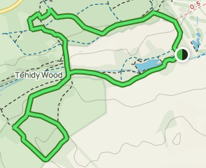 Tehidy Wood Circular: 49 Reviews, Map - Cornwall, England | AllTrails