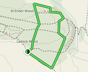 Ladock Woods Circular, Cornwall, England - 37 Reviews, Map | AllTrails