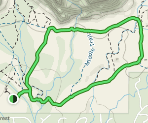 Big Park Loop: 1487 Reviews, Map - Arizona | AllTrails