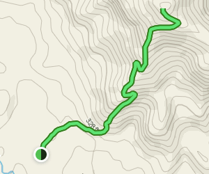 Bukit Penarikan: 26 Reviews, Map - Negeri Sembilan, Malaysia | AllTrails