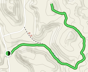 White Cliffs Wagon Trail, Arizona - 285 Reviews, Map | AllTrails