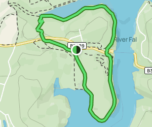 Namphillows Wood and Trelissick Garden: 71 fotos - Cornwall, England ...