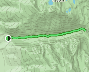 Crow Creek Trail: 76 foto - Montana | AllTrails