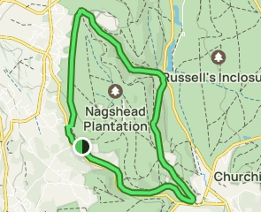 Coleford Link and Nagshead Plantation: 59 Fotos - Gloucestershire ...