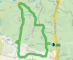 The Bolney Stage and Wykehurst Park Circular: 256 Reviews, Map - West ...
